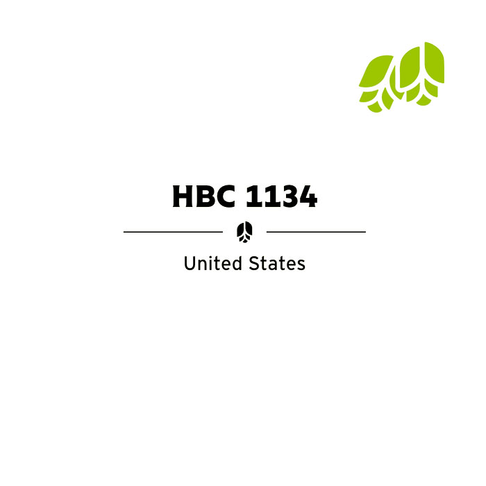 Woody Aromatic – HPA