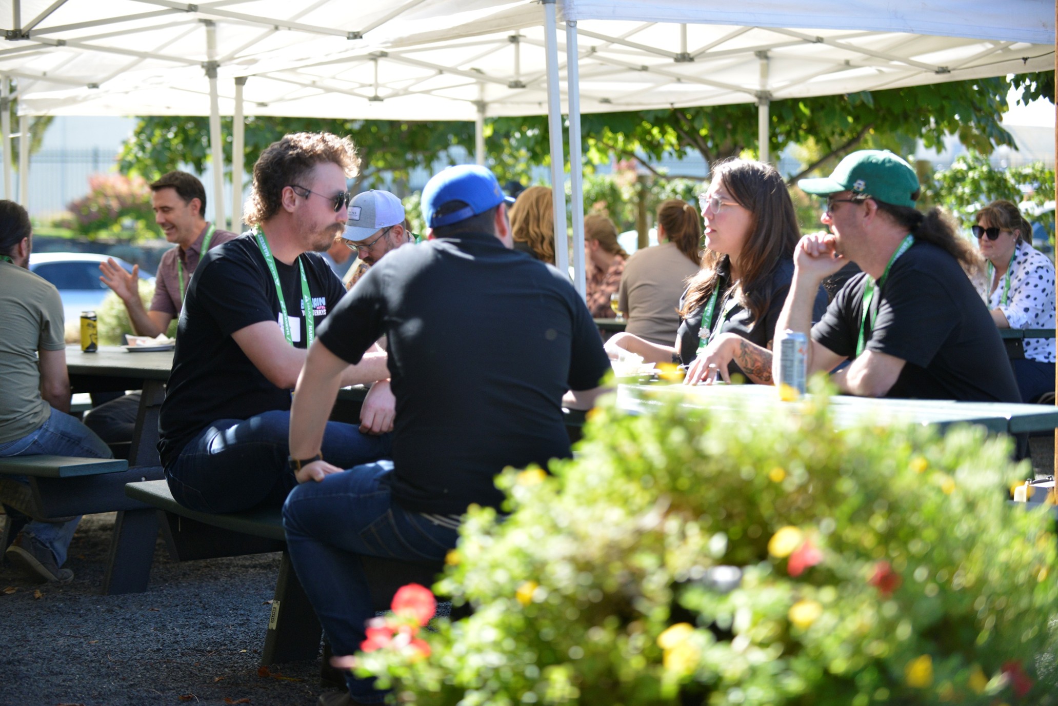 How you can bag the best US hops in Australia – HPA